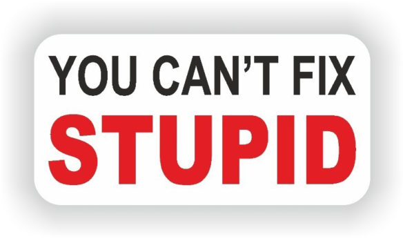 You Can't Fix Stupid Funny Sign Ron White Quote Vinyl Sticker